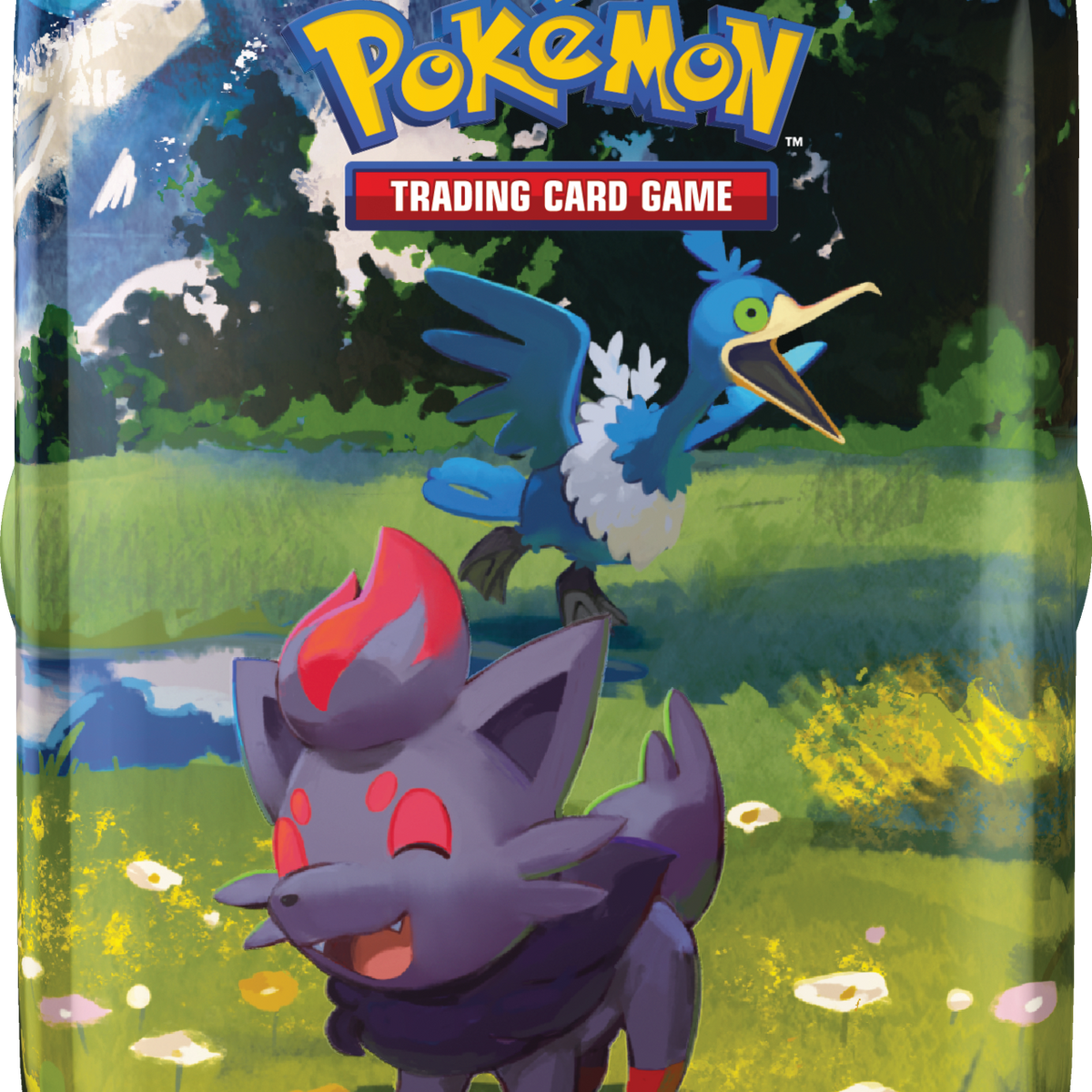 Pokemon TCG: Ascended Heroes - Mini Tin - Zorua – Collectors Edge Ltd